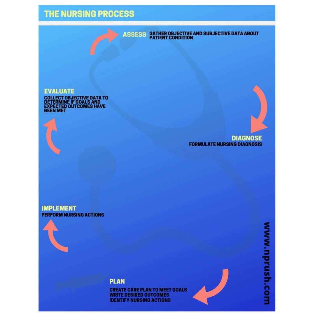 Nursing Process Worksheet - Etsy