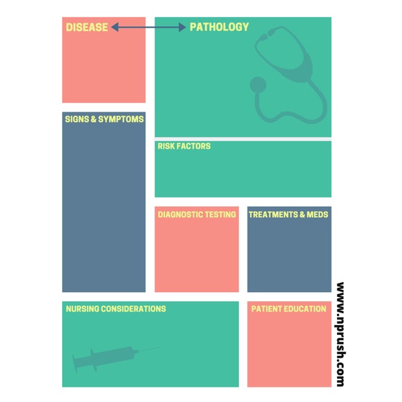 Pathology Worksheet for Nurses - Etsy