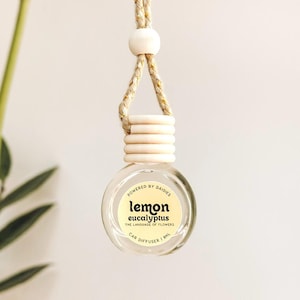 Hanging Car Oil Diffuser, Lemon Eucalyptus Car Diffuser, Car Air ...