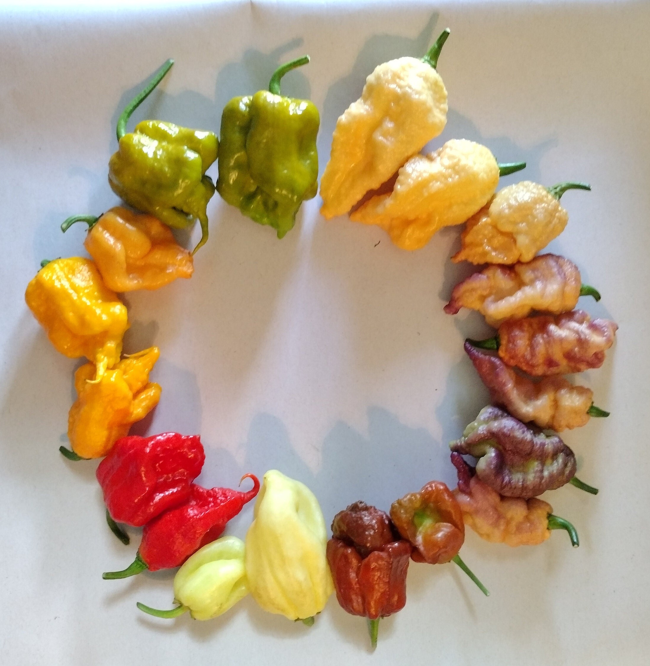 Carolina Reaper Seeds Choose Your Color - Etsy