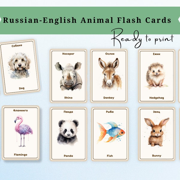 Educational Cards - Etsy