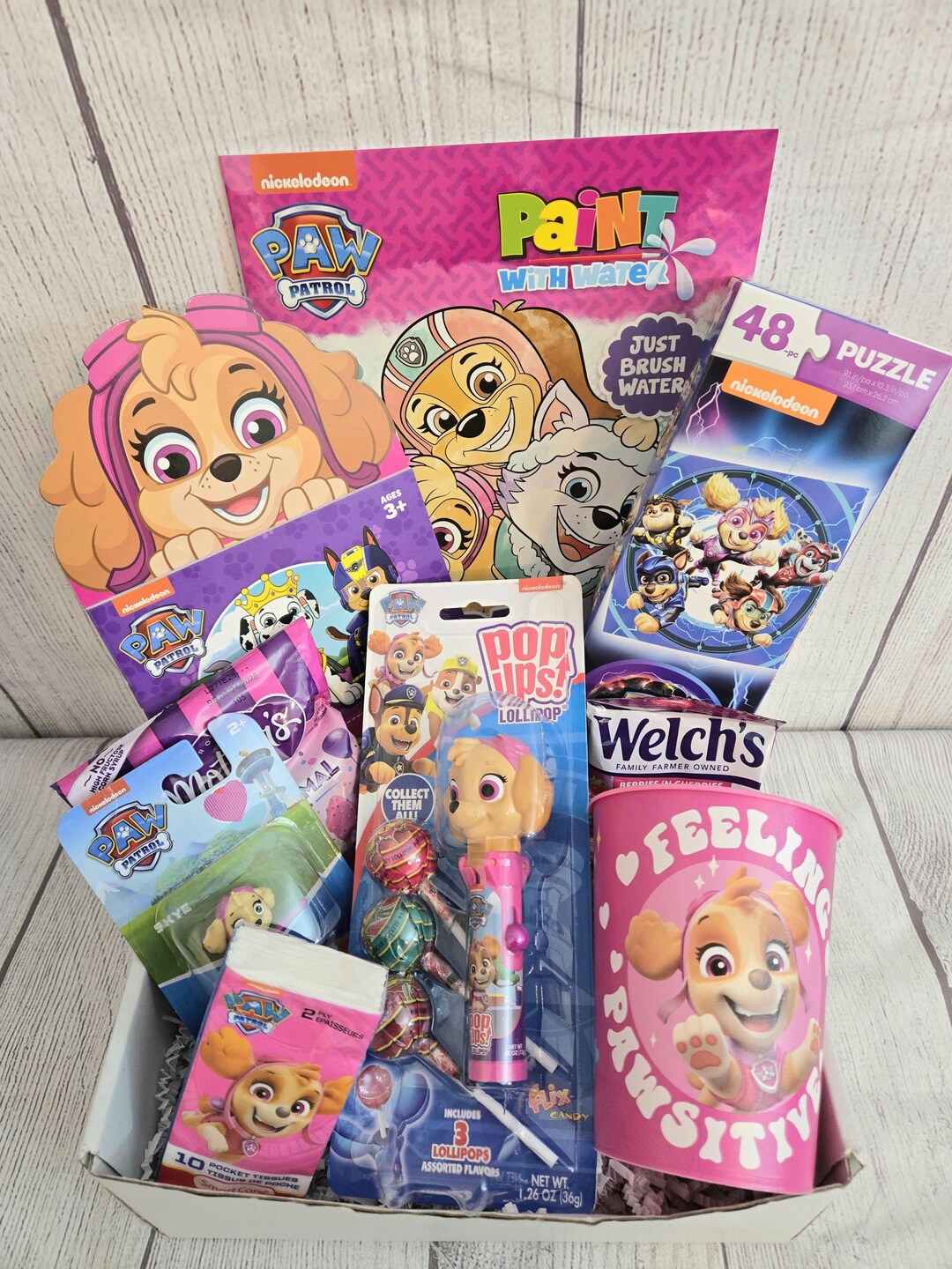 Skye Paw Patrol Kids Birthday Gift Kids Get Well Toddler Gift Paw Patrol Gift Basket Skye Gift ...