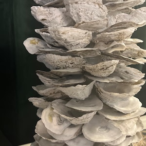 Oyster Shell Table Lamp, Medium Lamp for Side Table, Coastal Decor With ...