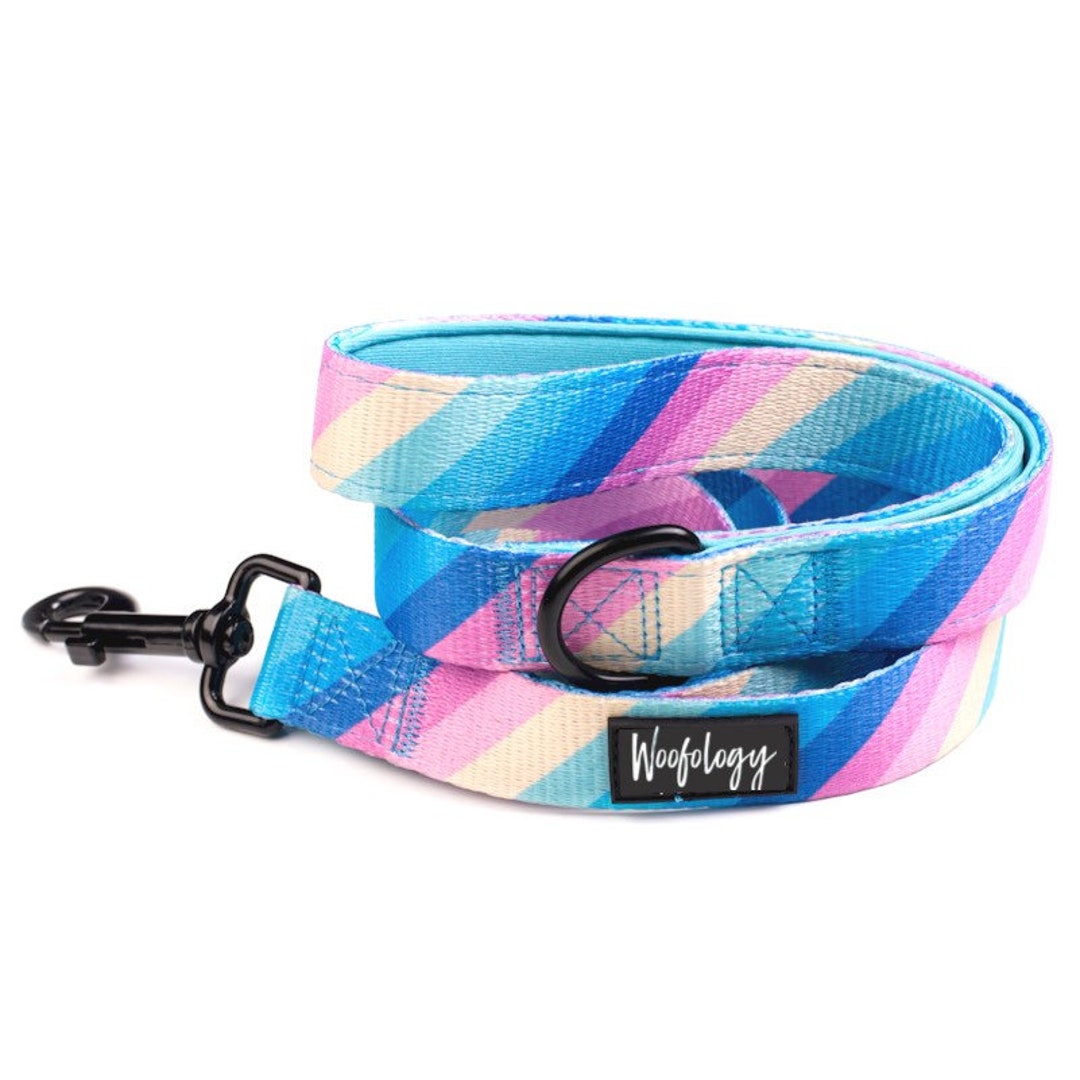 Pastel Rainbow Dog Leash - LGBTQIA Dog Leash, Walking Set Dog Leash ...