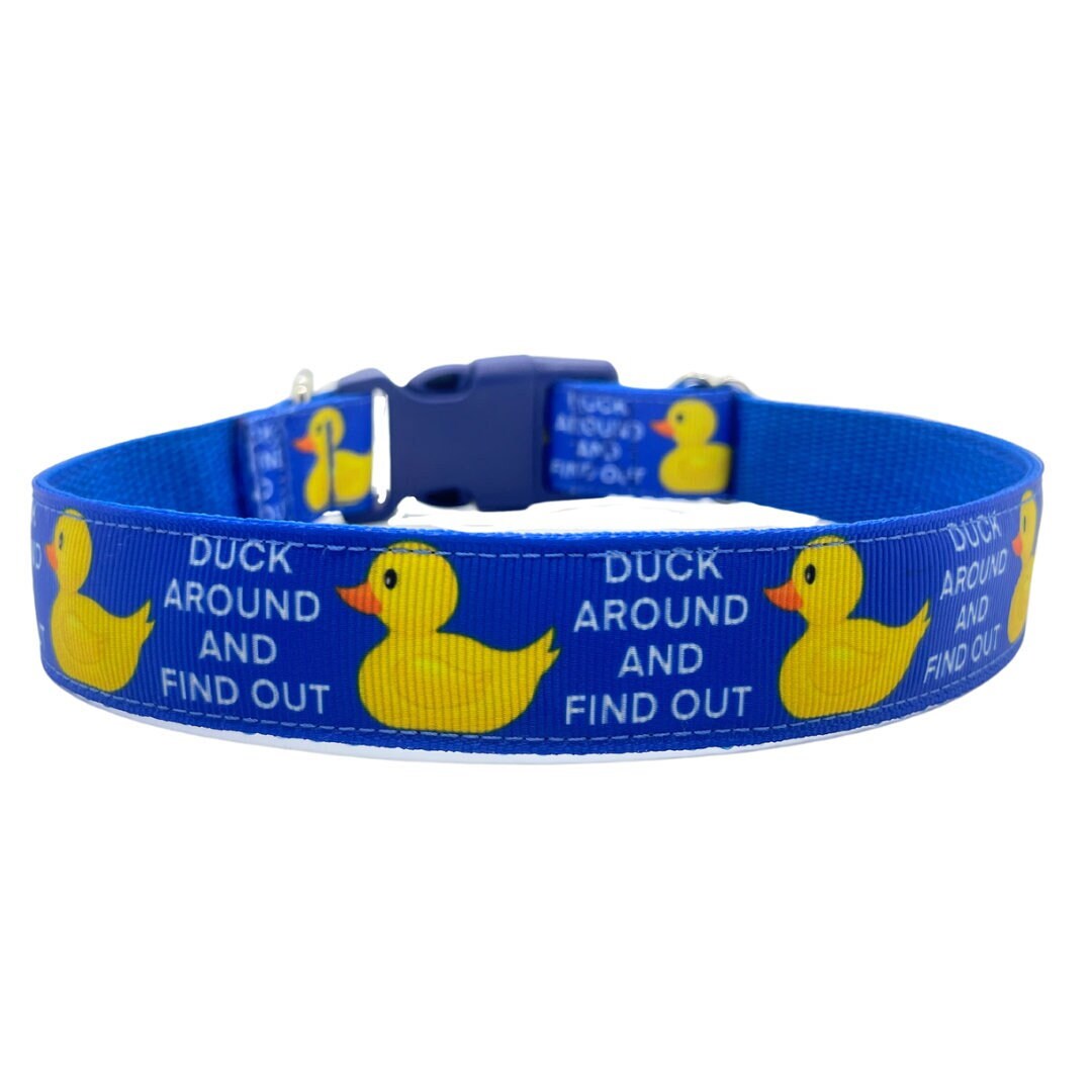 Duck Around and Find Out Dog Collar, Funny Dog Collar, FAFO Dog Collar ...