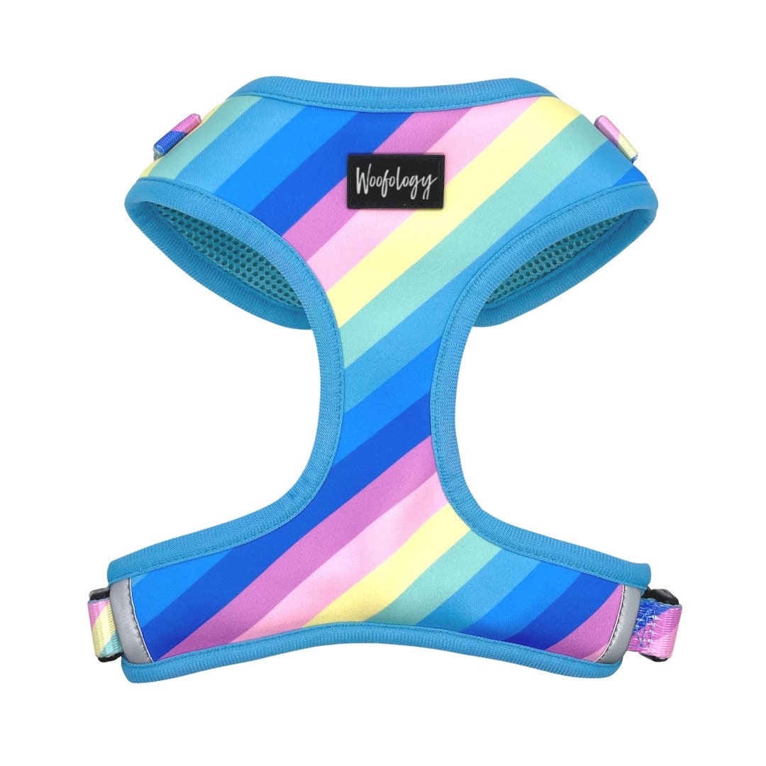 Pastel Rainbow Harness Spring Dog Harness LGBTQ Dog Harness - Etsy