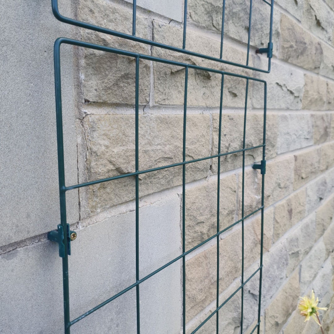 Wall Plant Support Mesh for Climbing Climbers Clematis Panel - Etsy UK
