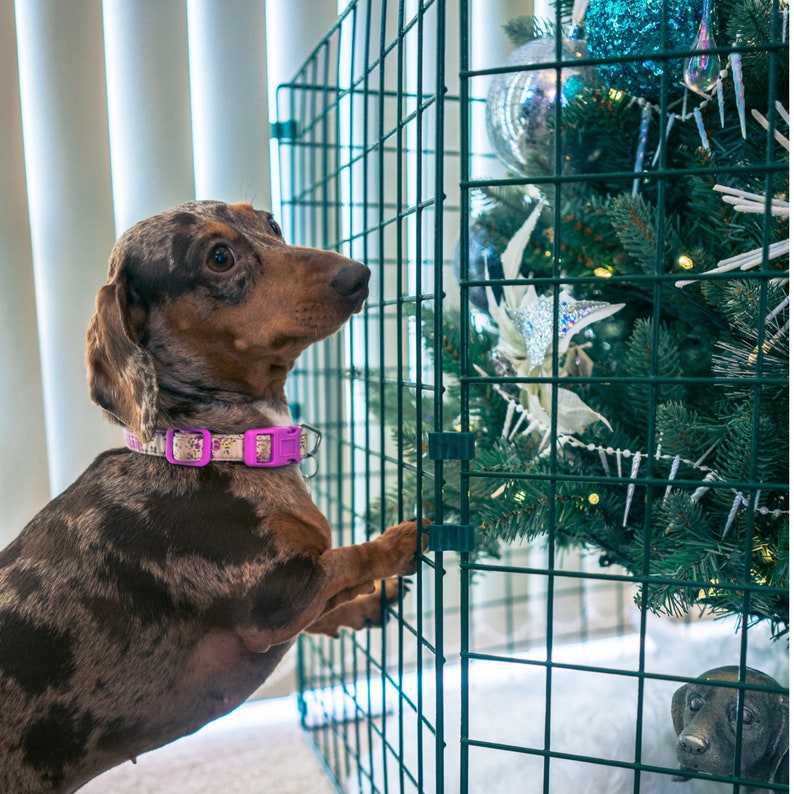 Christmas Tree Pet/dog Protector - Etsy