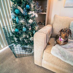 Christmas Tree Pet/dog Protector - Etsy