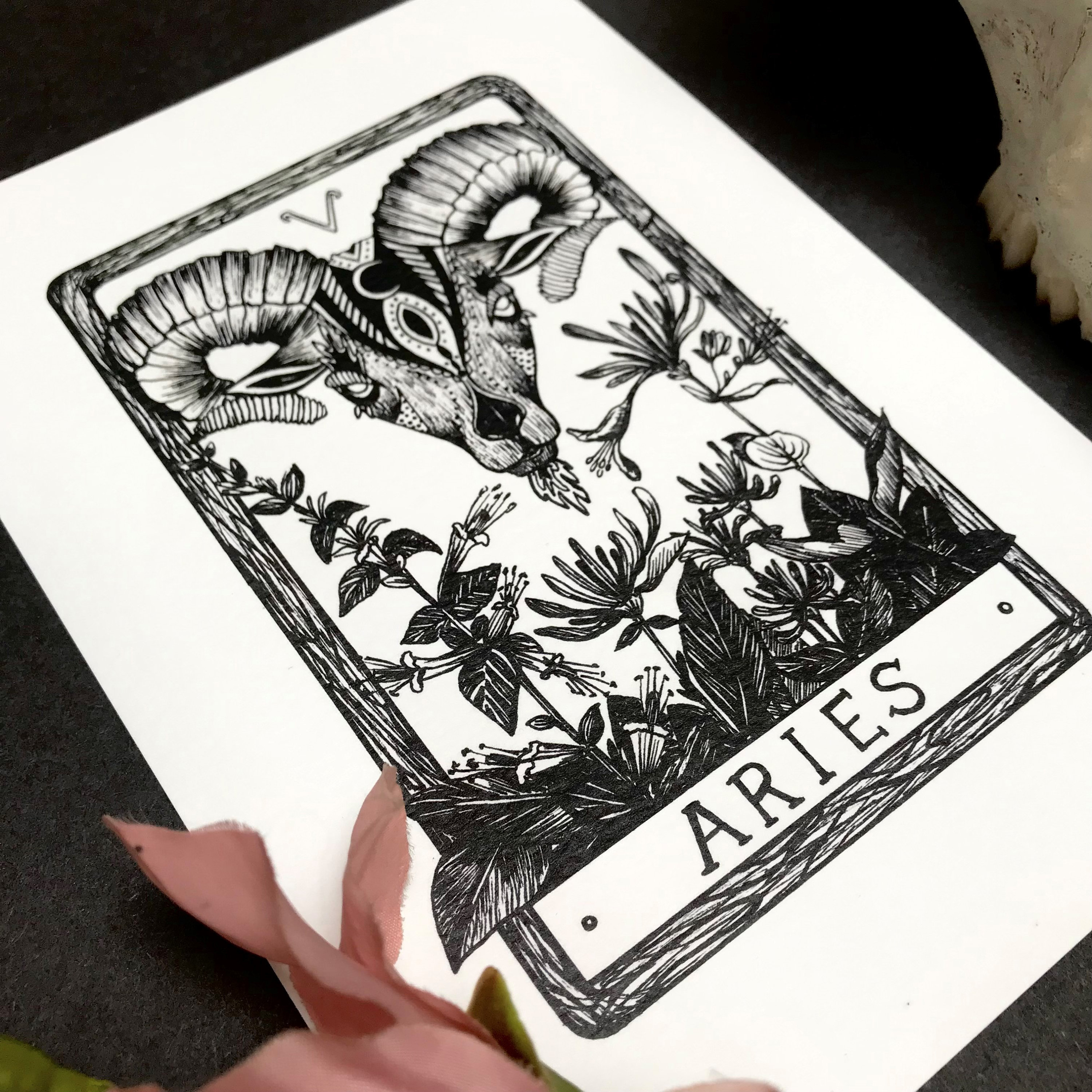 ARIES Zodiac Tarot Card A5 Art Print Only Celestial Astronomy - Etsy