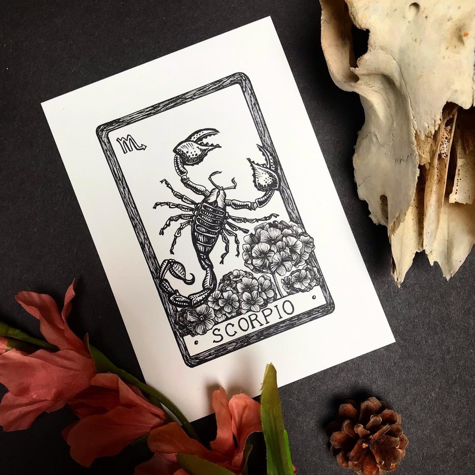 SCORPIO Zodiac Tarot Card A5 Art Print Only Celestial - Etsy