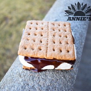 Faux Smore/chocolate Drip Graham Cracker Marshmallow/fake - Etsy