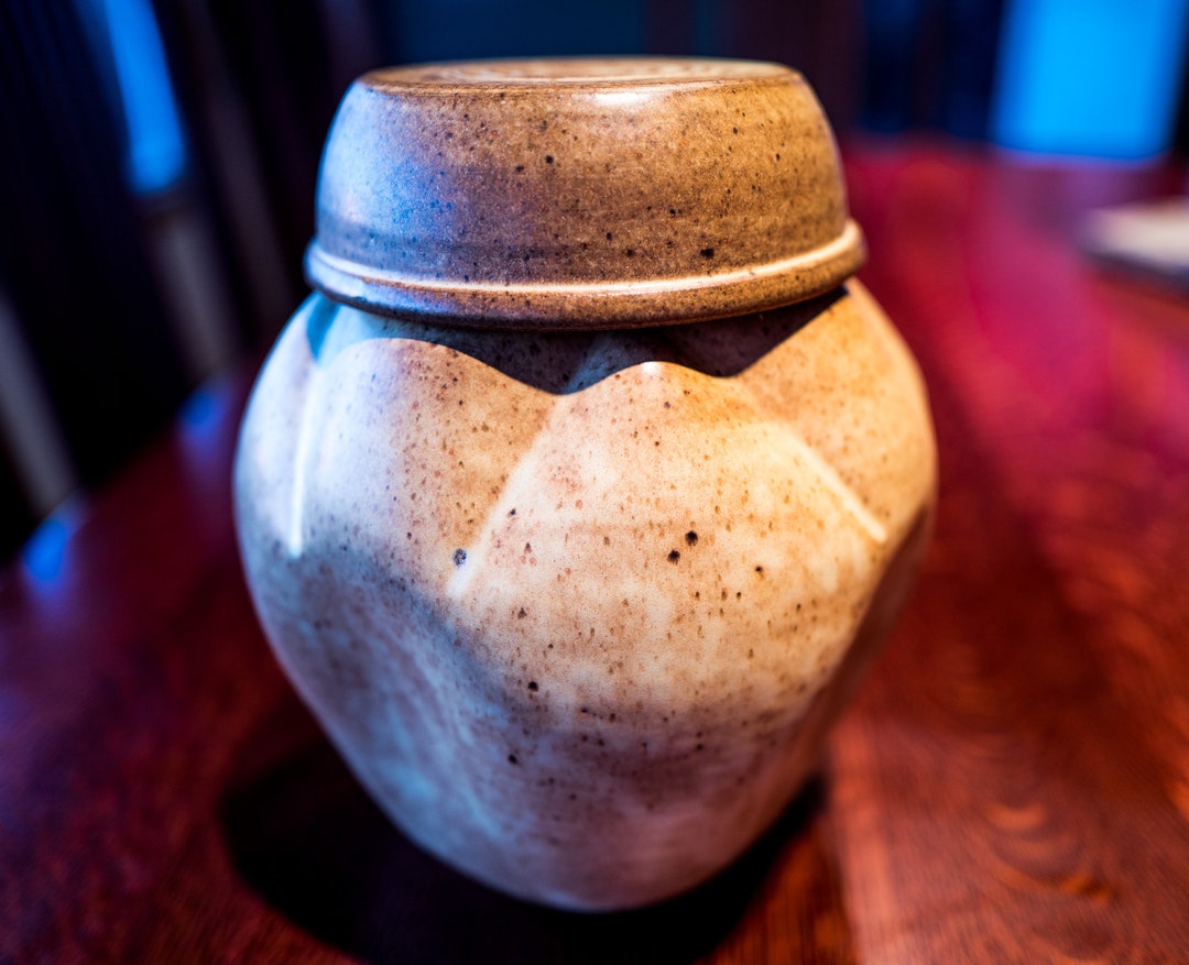 Onggi Pot, One Gallon , Katabatic Pottery - Etsy