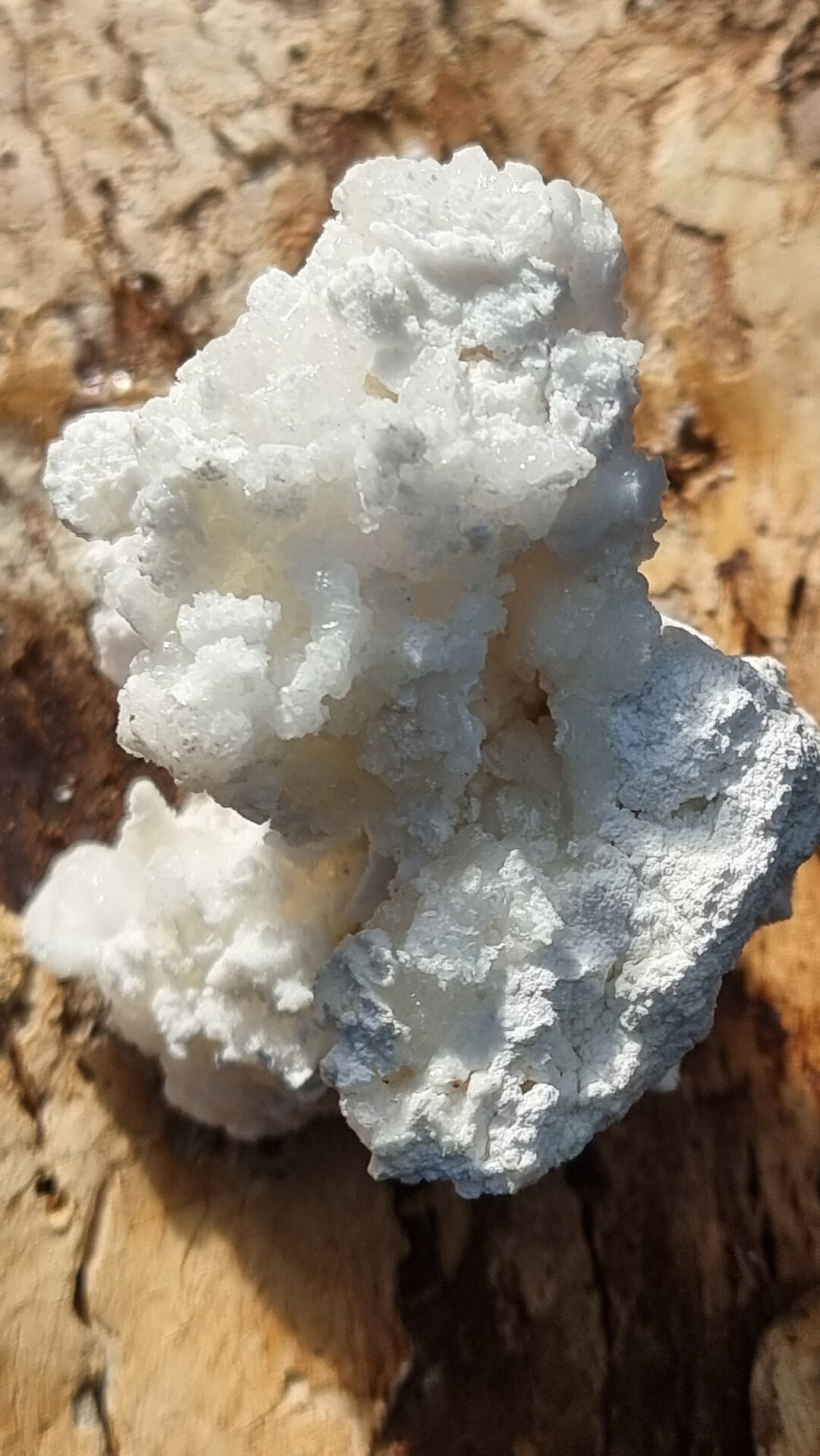 CAVE Aragonite STALACTITE Cluster, Cave Calcite White Aragonite 8 Cm ...