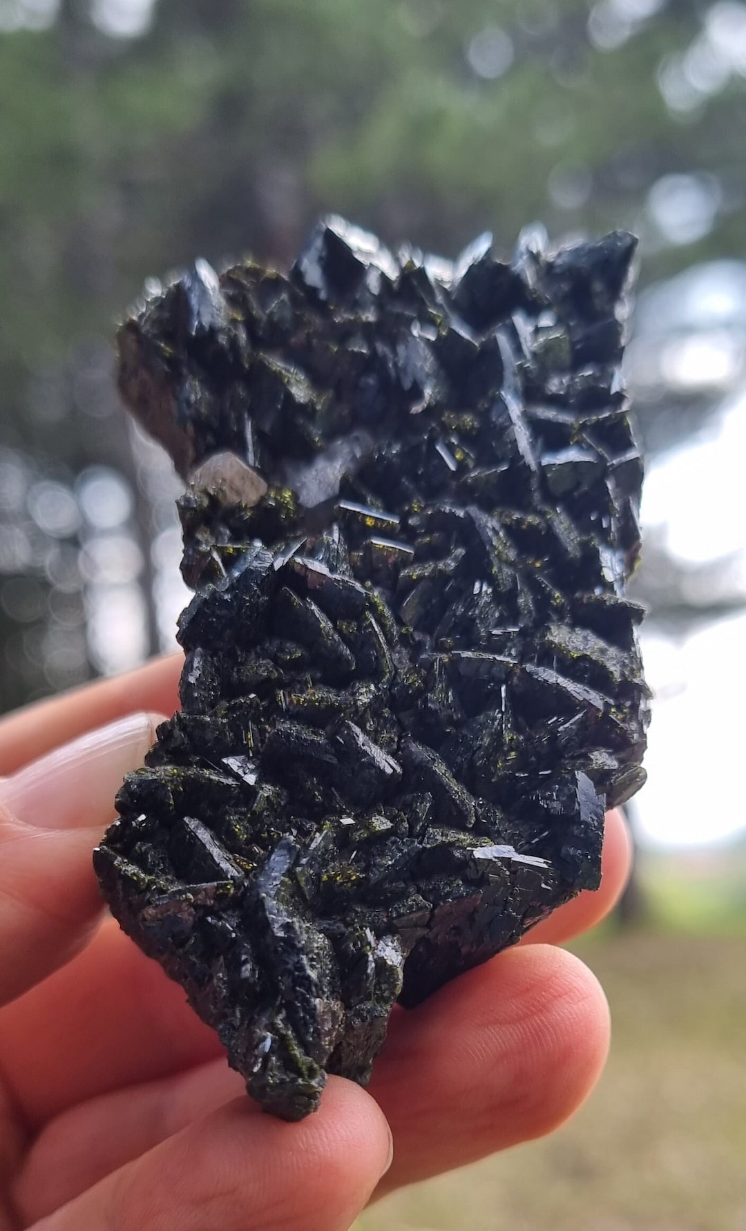 Forest Epidote Quartz From Hakkari Turkey 10 Cm - Etsy