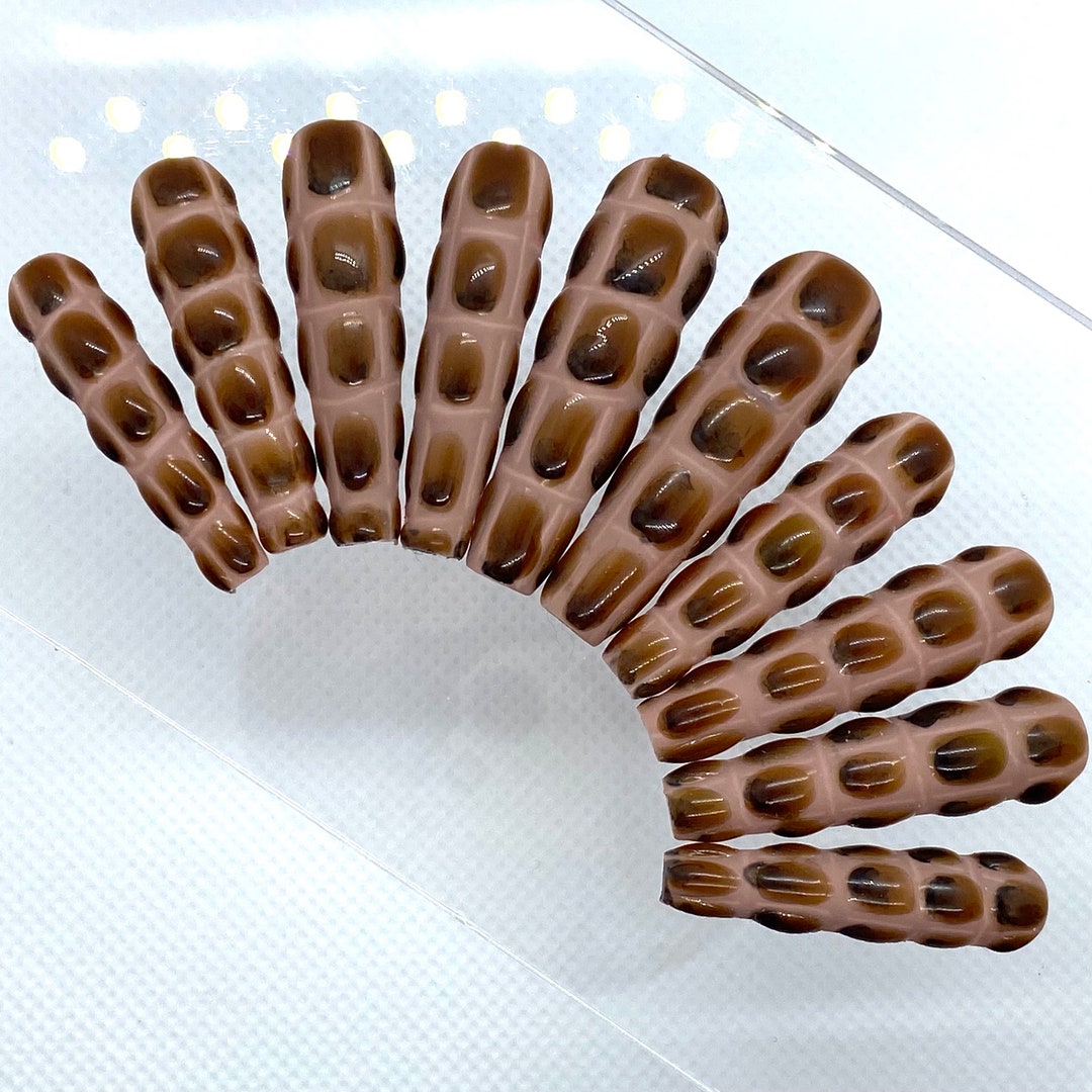 Crocodile Press on Nails | Glue on Nails | Long Nails | Stick on Nails ...