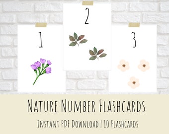 Dinosaur Number Flashcards| Number Cards| 1-10| Montessori Homeschool ...