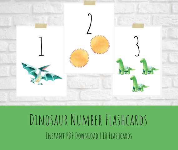 Dinosaur Number Flashcards Number Cards 1-10 Montessori - Etsy
