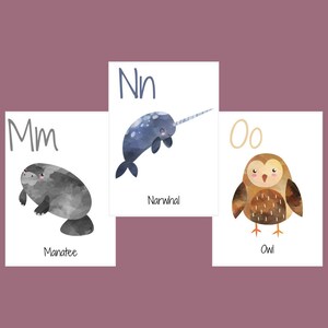 Animal Alphabet Flashcards ABC Watercolor Montessori - Etsy