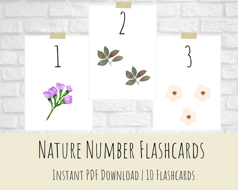 Nature Number Flashcards| Number Cards| 1-10| Montessori Homeschool ...