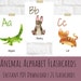 Animal Alphabet Flashcards ABC Watercolor Montessori - Etsy