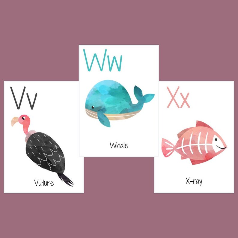 Animal Alphabet Flashcards ABC Watercolor Montessori - Etsy