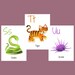 Animal Alphabet Flashcards ABC Watercolor Montessori - Etsy