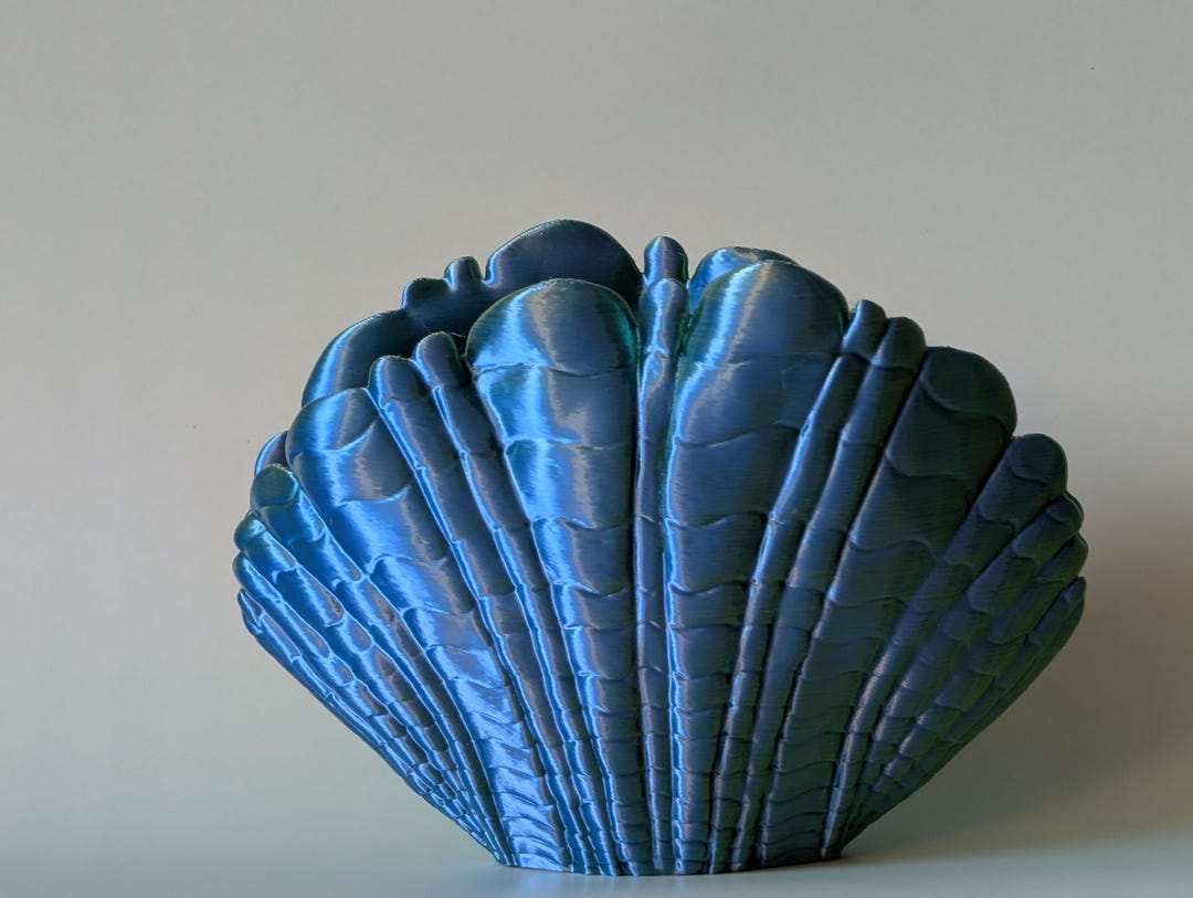 Clam Shell Vase – Modern Coastal Home Decor - Etsy