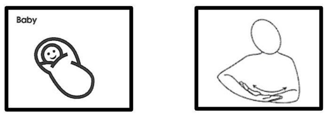 Makaton Cards Gender and Family Members X 9 - Etsy Australia