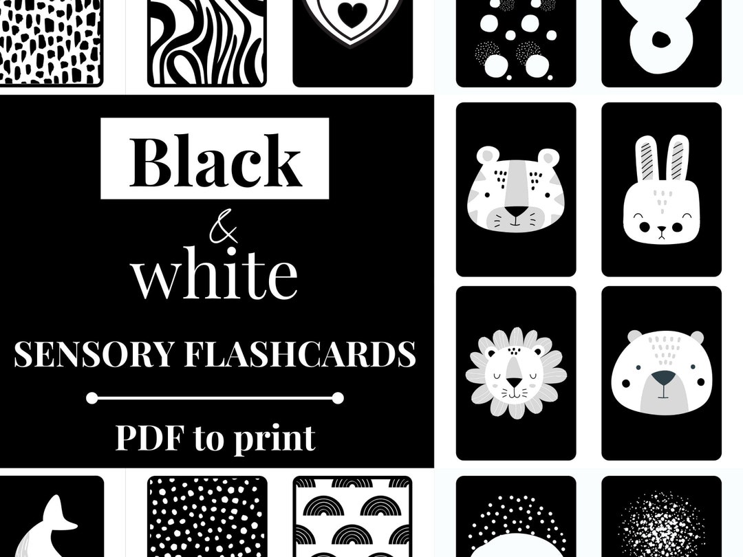 Black and White Flashcards, Sensory Black and White Cards, Printable ...
