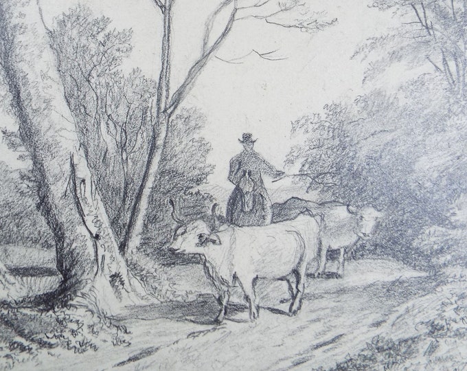 Original Pencil Drawing, 'A Drover With Cattle', Late 19th Century ...