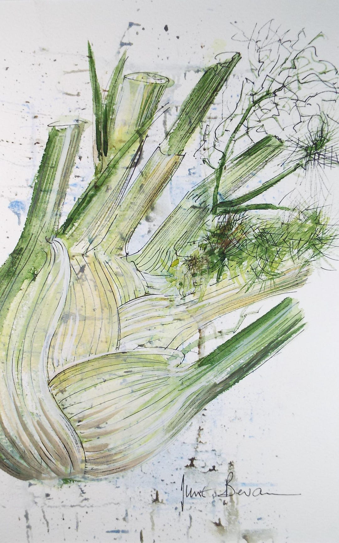 Original Watercolour,'fennel Study', June Bevan, Circa 1990's - Etsy