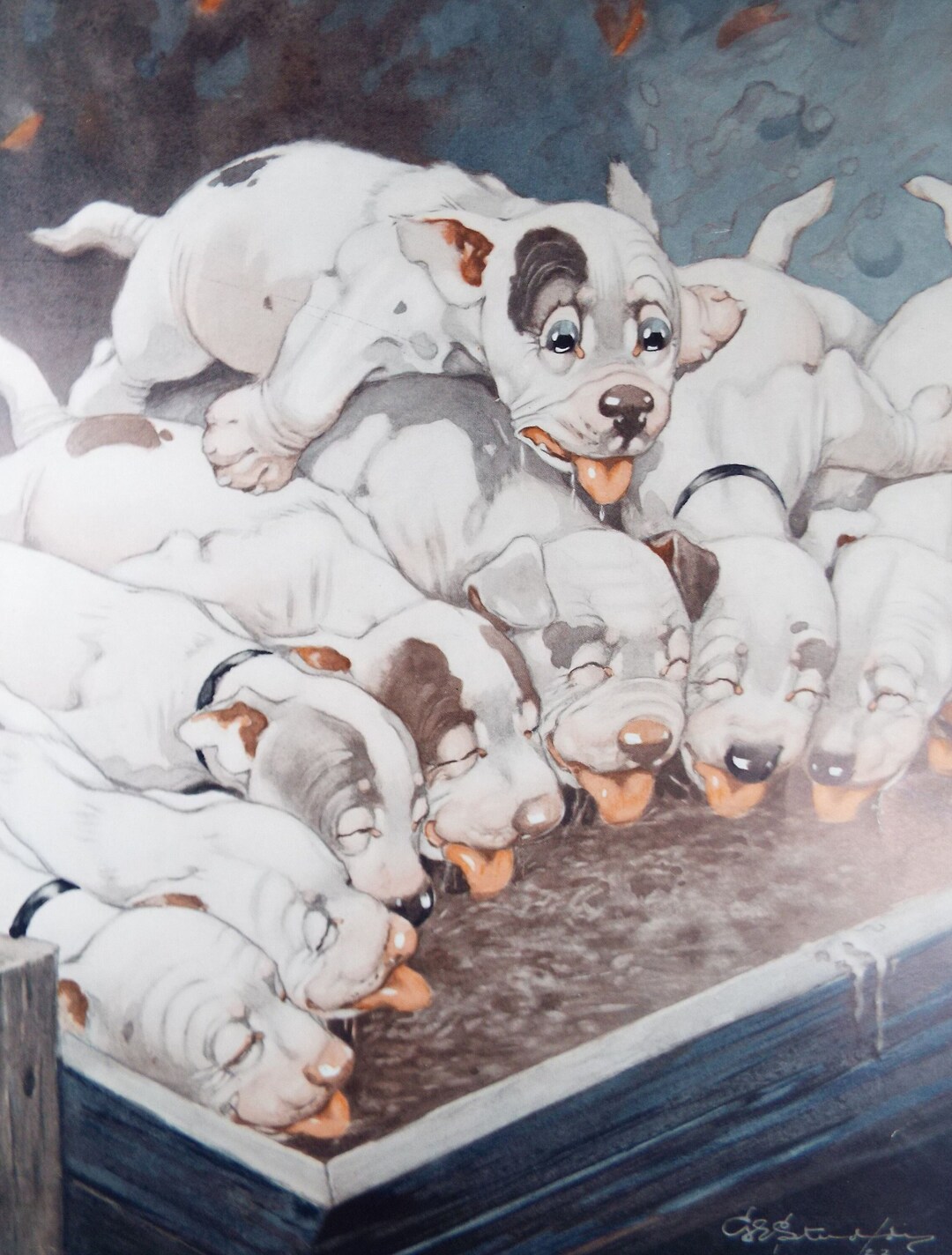 Bonzo the Dog - G. E Studdy, 'also Ran!', Vintage 1920's Print, Large ...