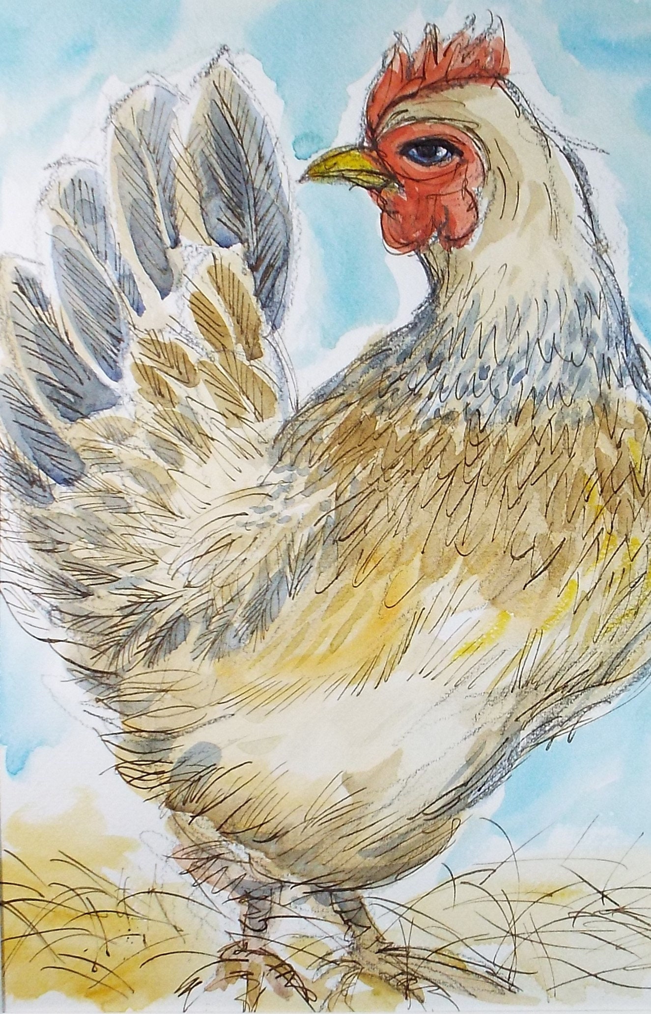Original Watercolour,'study of a Hen', 1990's, Ron Brooker - Etsy