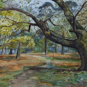 Original Watercolour, 'track Through Woodland', Dated 1893, A Rickatson ...