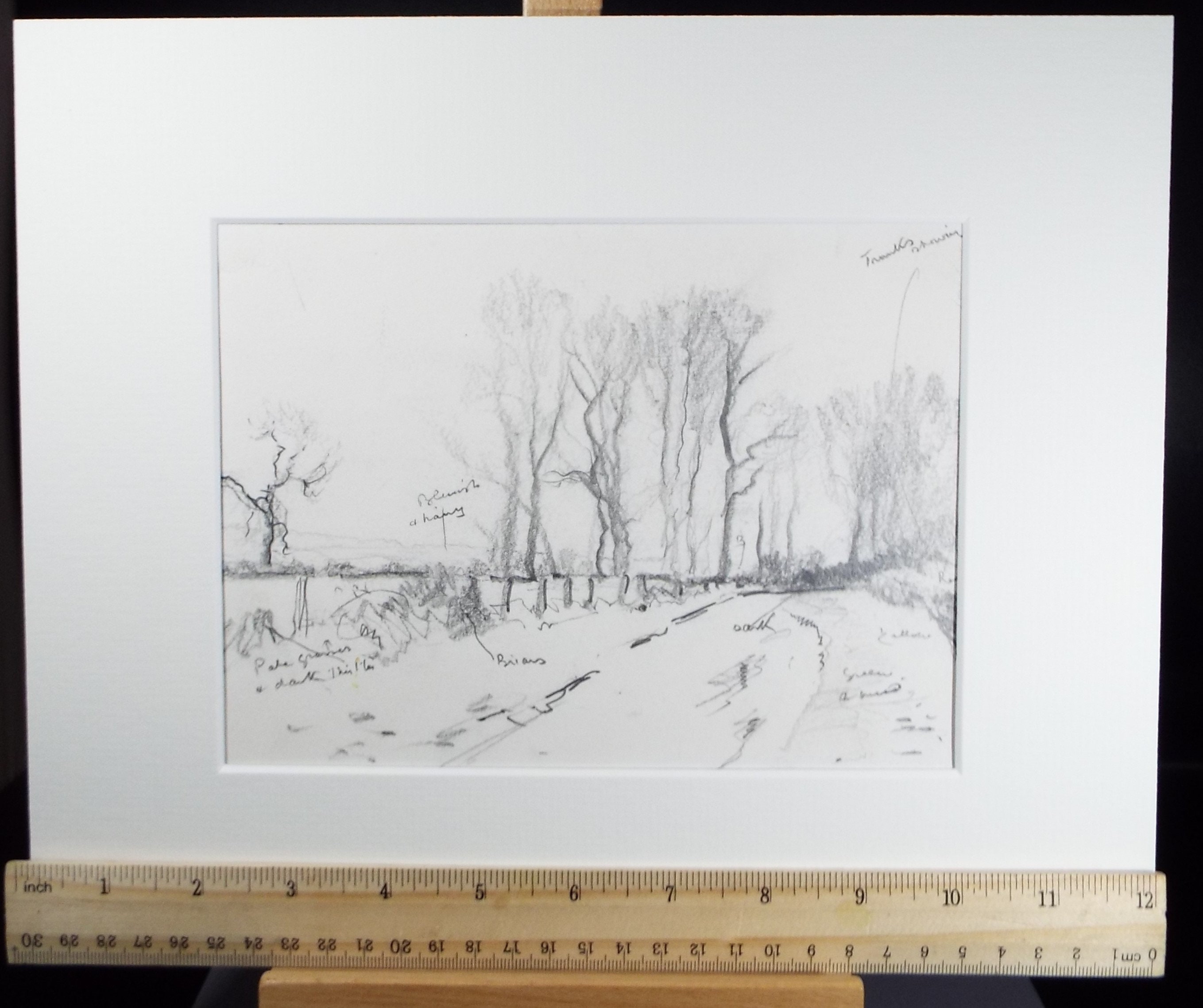 Original Pencil Sketch, Michael Lyne 1912-1989, 'track With Elm Trees ...
