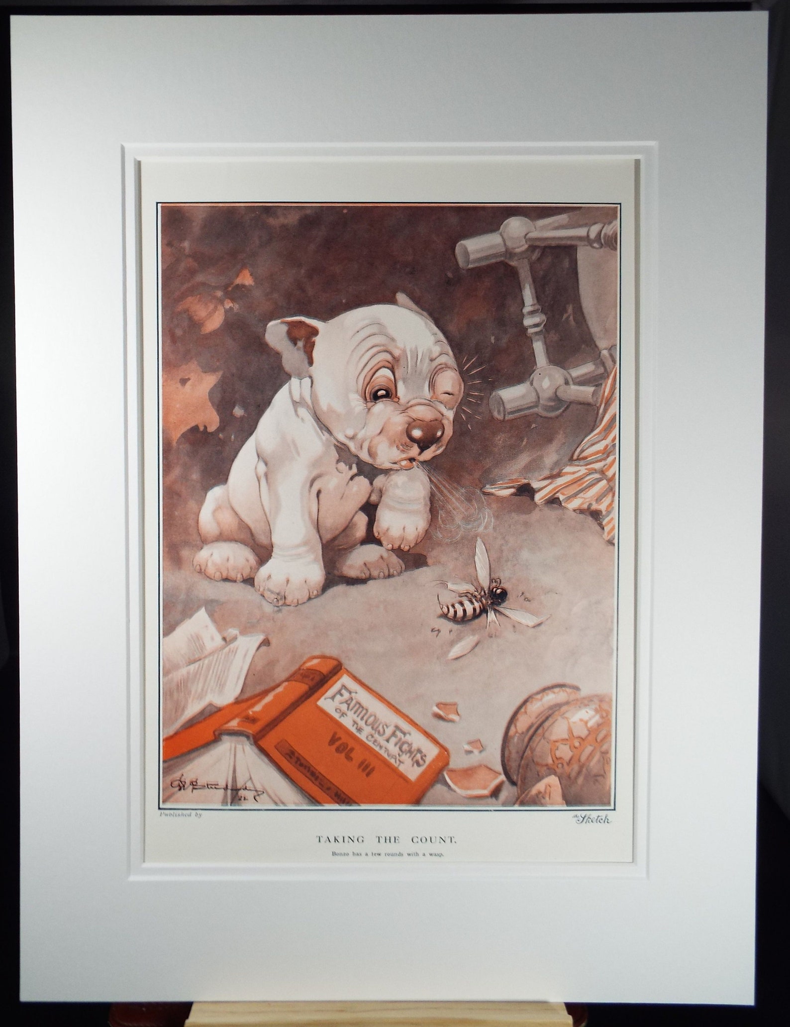 Bonzo the Dog G. E Studdy 'taking the Count' - Etsy