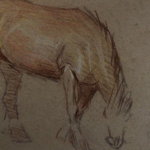 Dibujo a lápiz original, 'Estudio de un caballo', Susan Beatrice Pearce ...