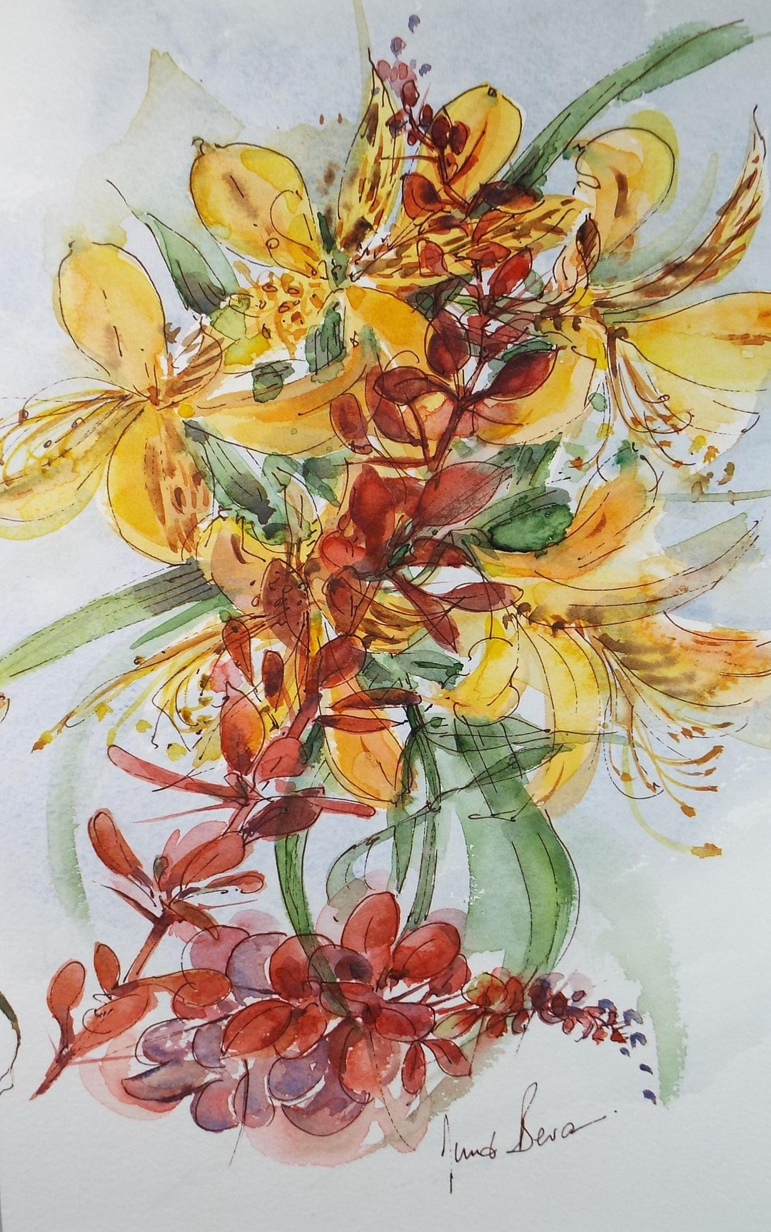 Original Watercolour,'lily Study', June Bevan, Circa 1990's - Etsy