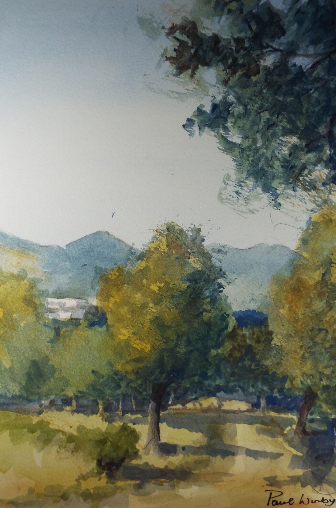 Original Watercolour on Paper, 'olive Grove', Paul Winby, Circa 1990's ...