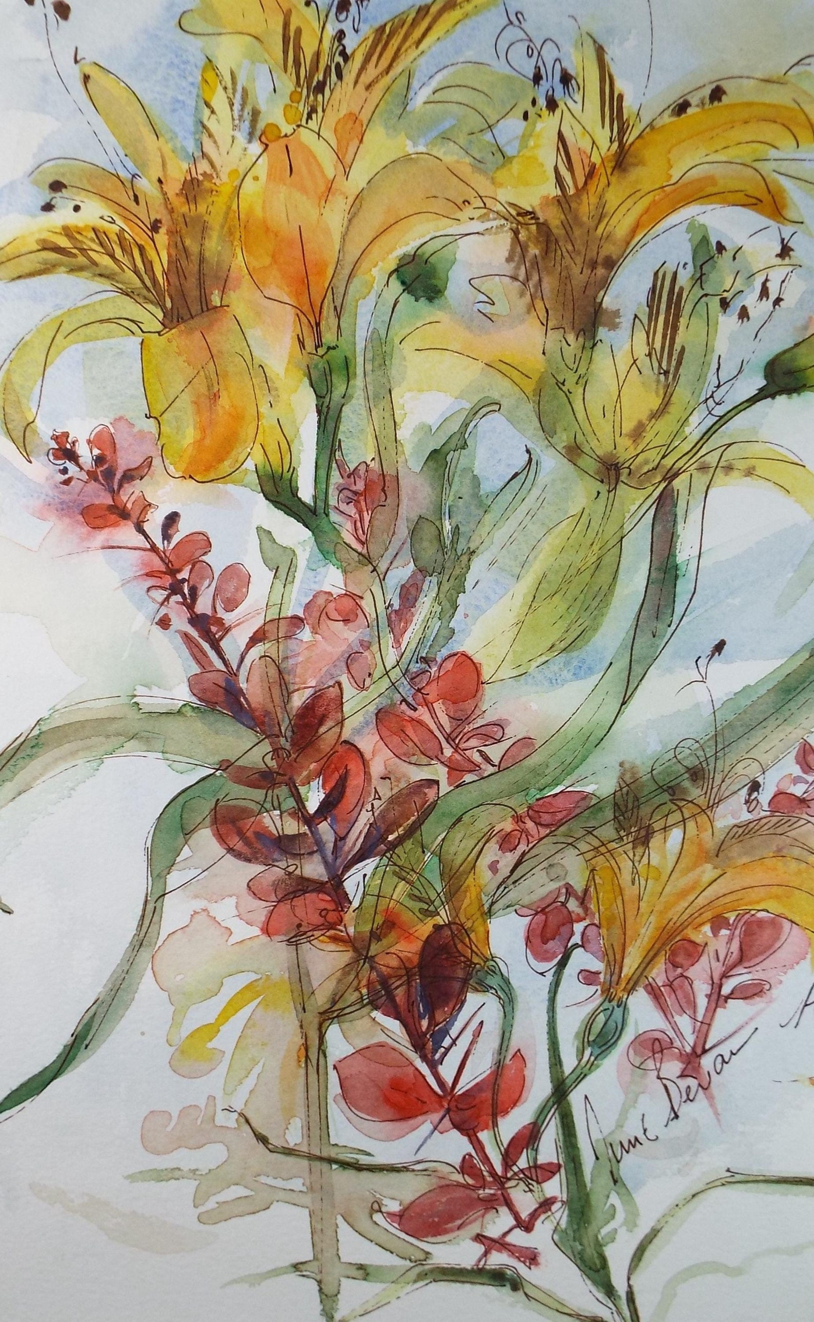 Original Watercolour,'lily Study', June Bevan, Circa 1990's - Etsy
