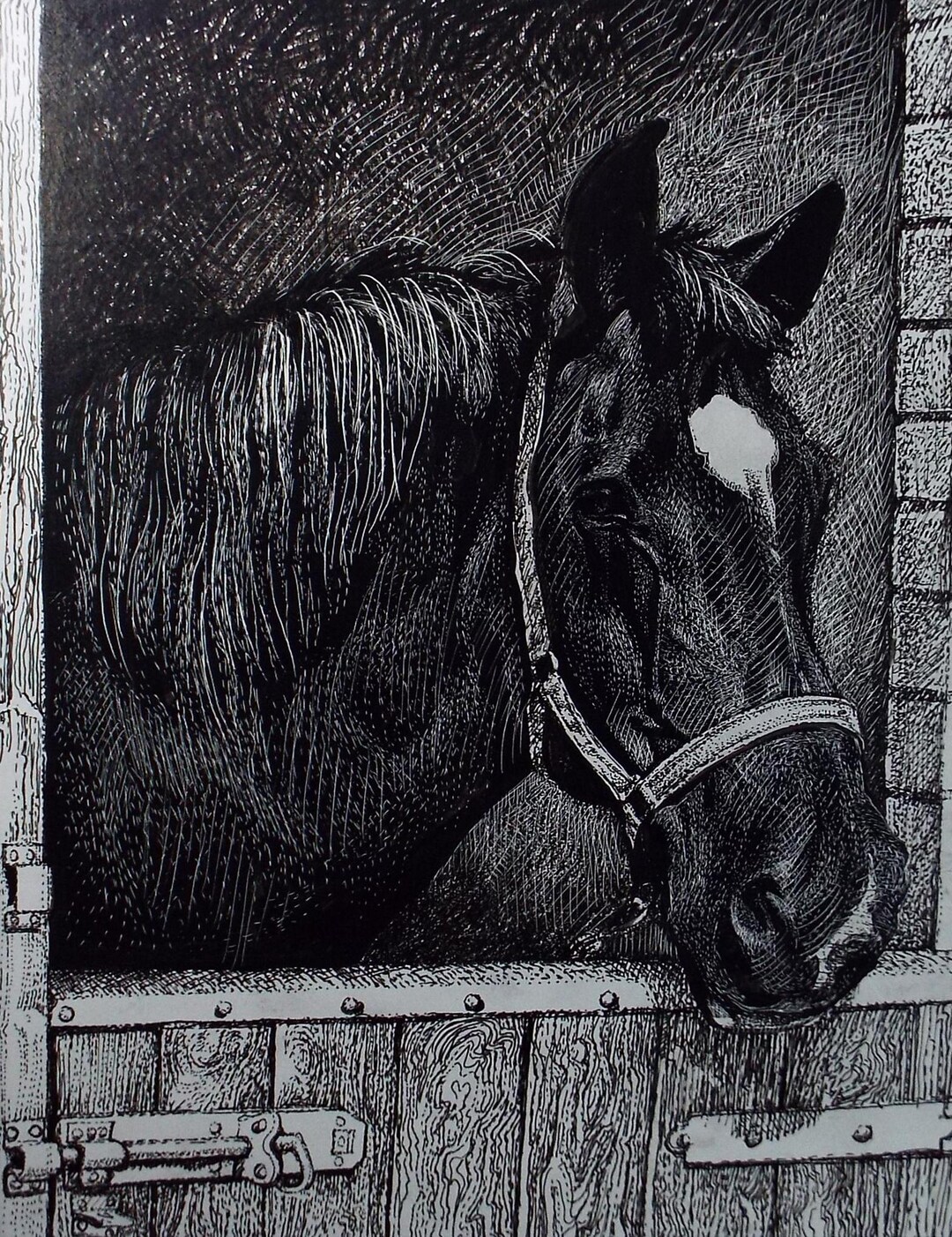 Original Scraperboard & Ink Drawing, 'horse in a Stall', Lorraine ...