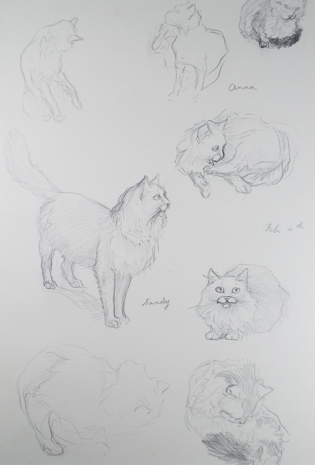 Original Pencil Sketch,'study of Cats', Helen Collins (1921-1990 ...