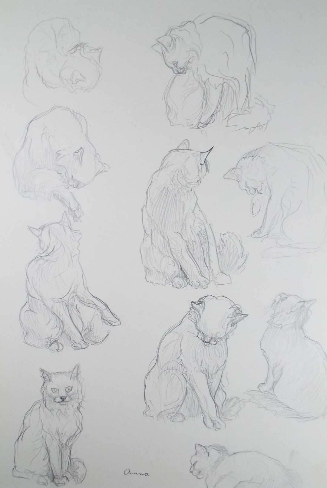 Original Pencil Sketch,'study of Cats', Helen Collins (1921-1990 ...
