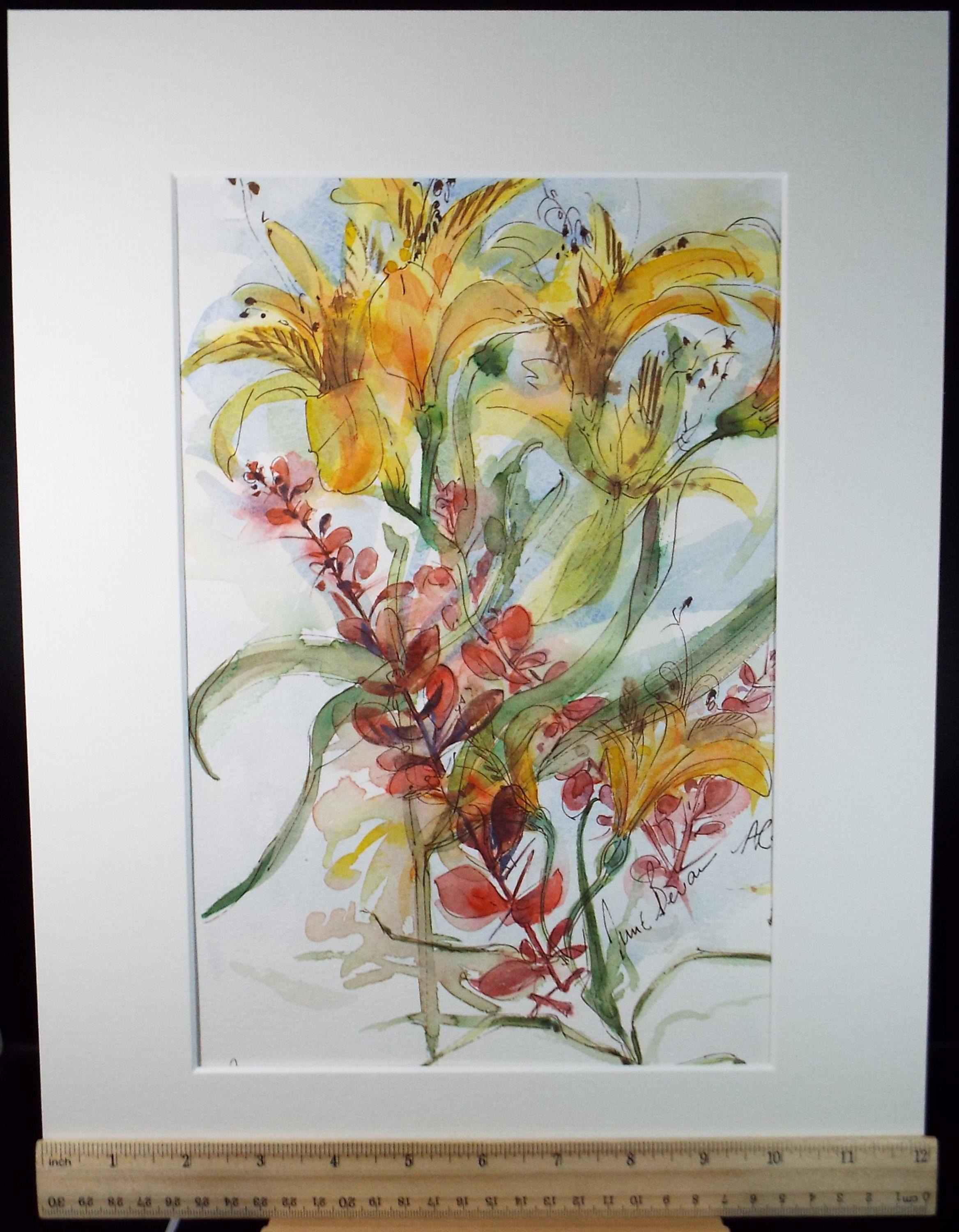 Original Watercolour,'lily Study', June Bevan, Circa 1990's - Etsy