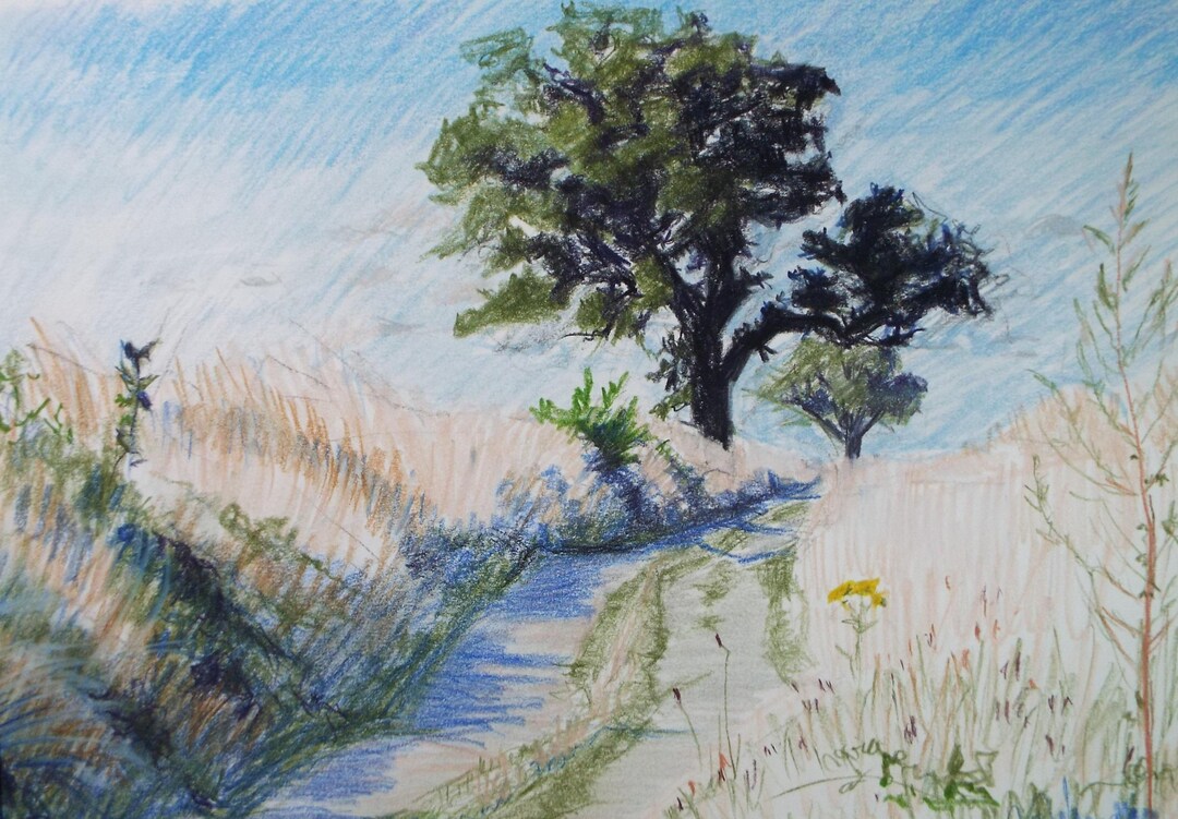 Coloured Pencil Drawing 'A Country Lane', Pauline Plummer (b1933 ...