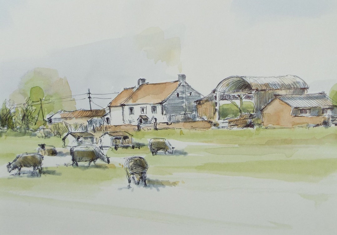 Original Watercolour & Ink, 'sheep With Farm Buildings', Circa 1990's ...