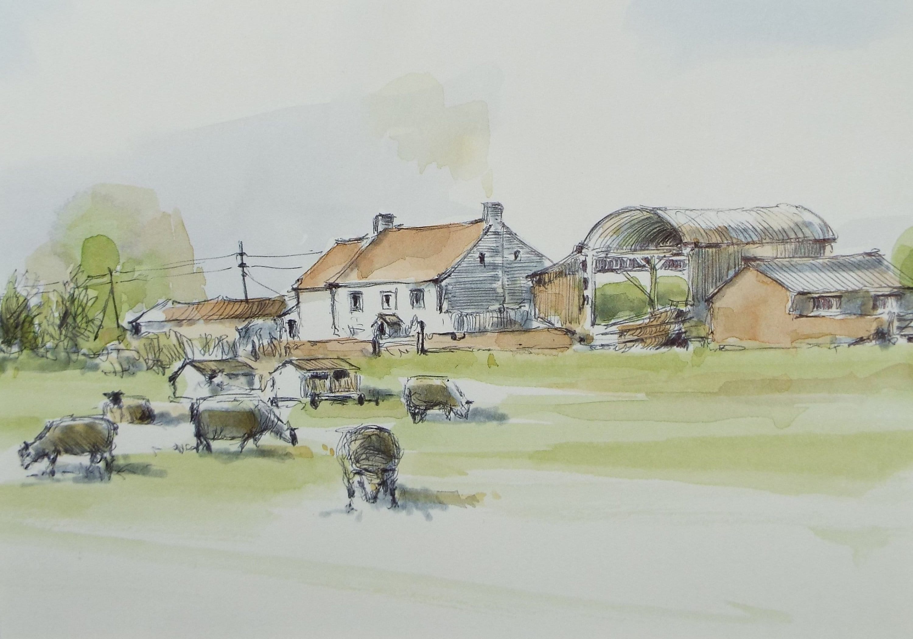 Original Watercolour & Ink, 'sheep With Farm Buildings', Circa 1990's ...