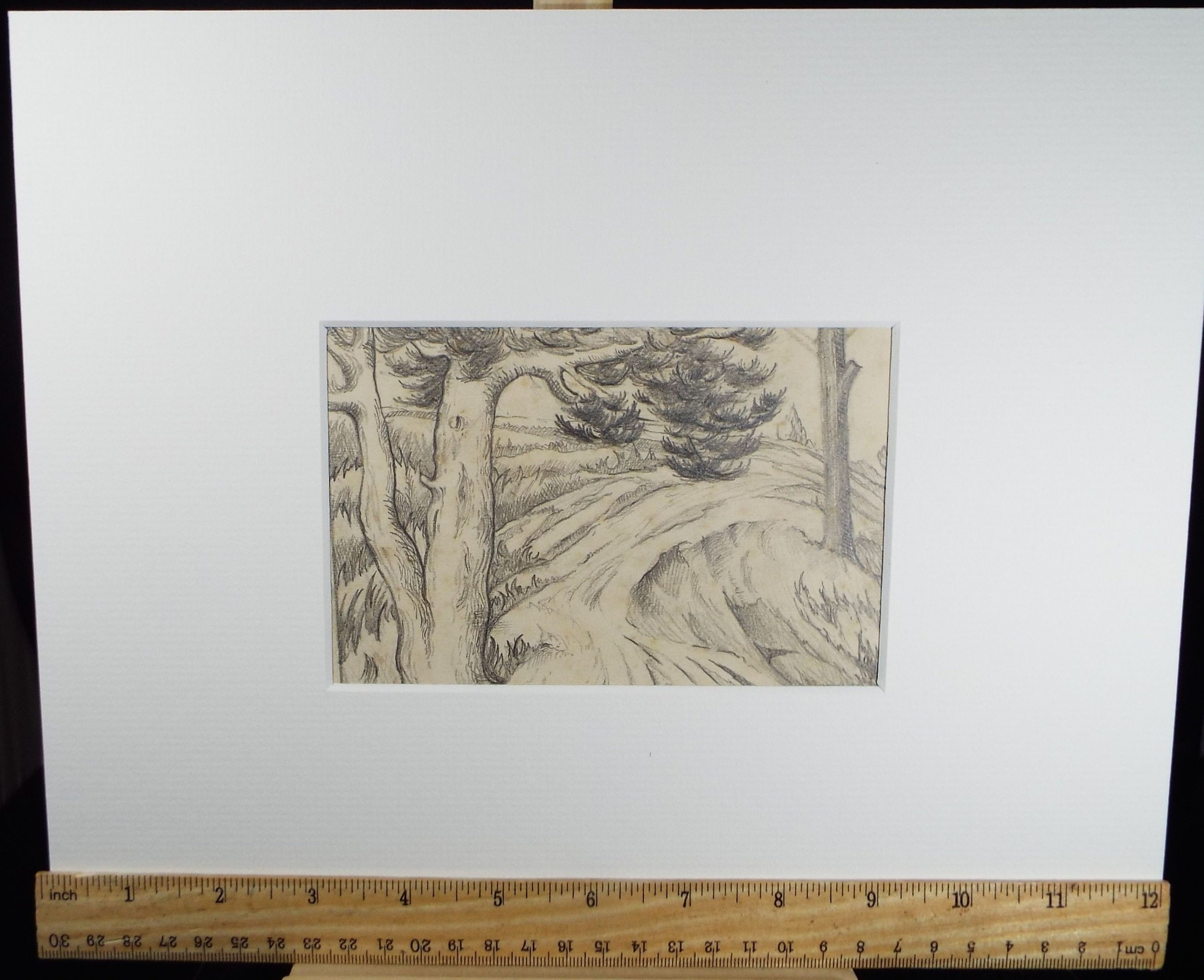 Original Pencil, 'woodland Clearing', Circa 1930's , Frank Harold Read ...