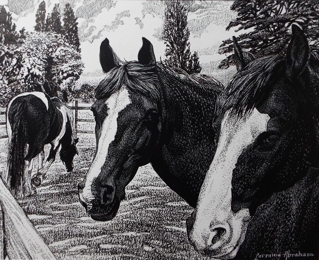 Original Scraperboard & Ink Drawing, 'horses in the Paddock', Lorraine ...